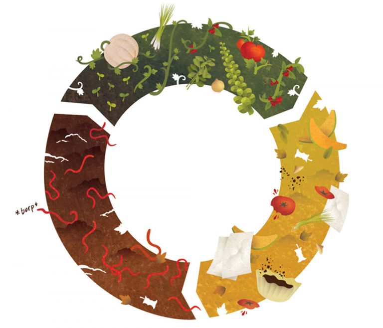 Circular Economy: Composting - DFW Airport Earth Day