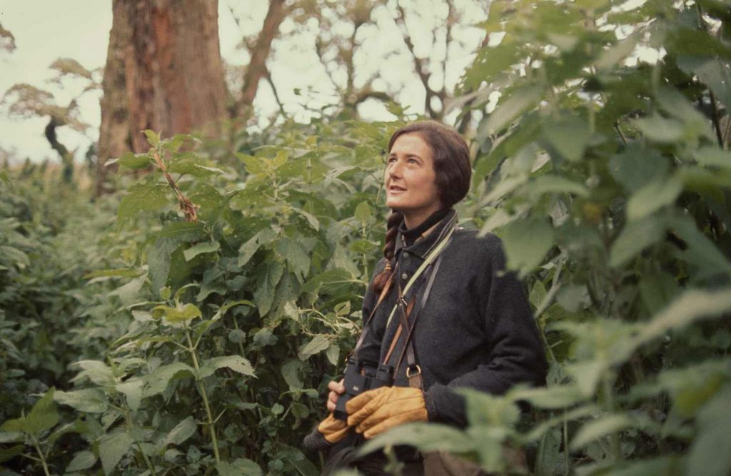 Remembering Dian Fossey on her Birthday - DFW Airport Earth Day