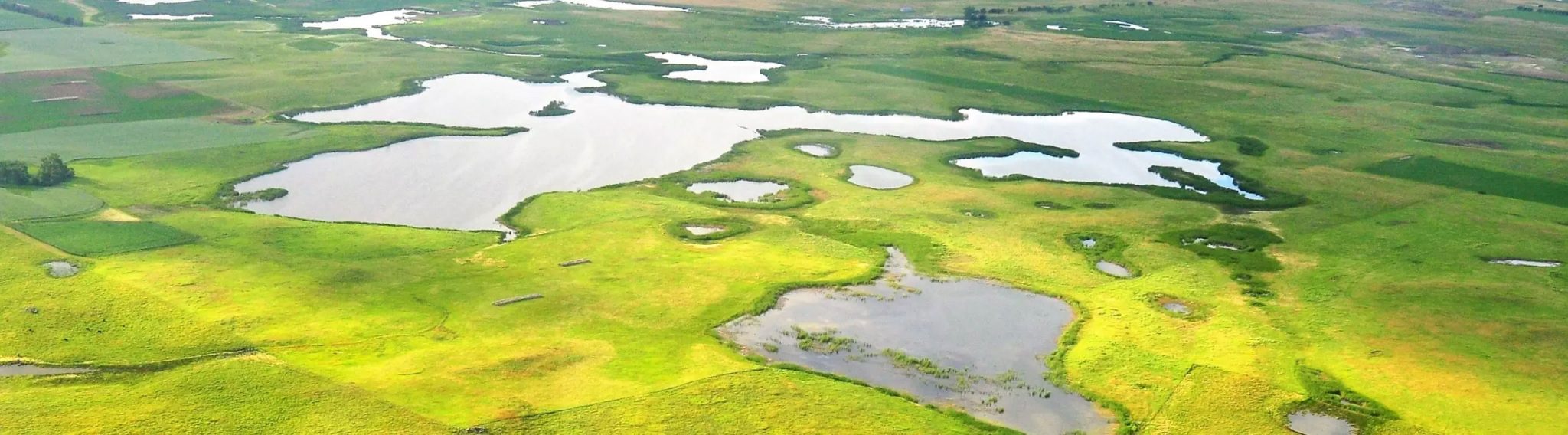 It’s Time for Wetland Restoration Now - DFW Airport Earth Day